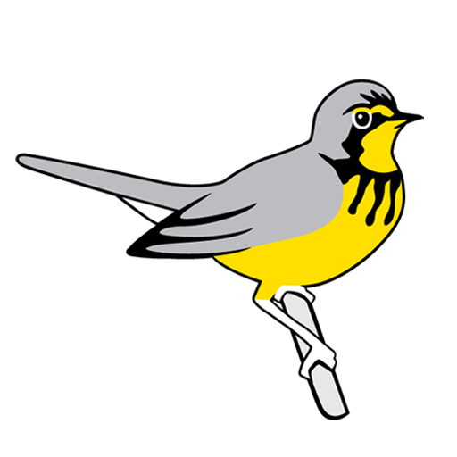 Birds Canada: Vice President, Development & Philanthropy ...